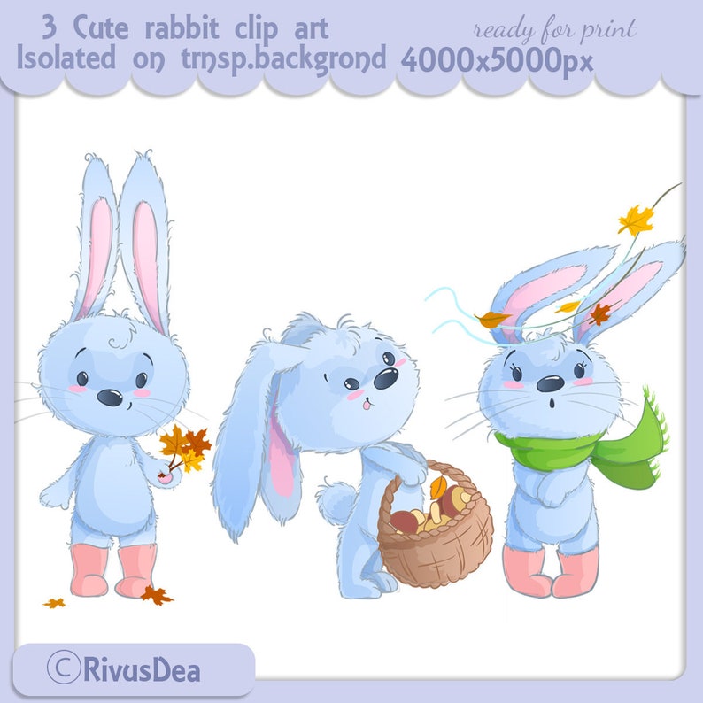 Bunny Clipart. Autumn Rabbit PNG Clip Art. Cute Hare Pack With - Etsy