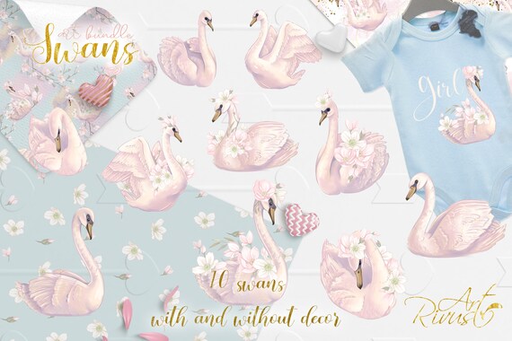 Swan Love Clipart Dividers