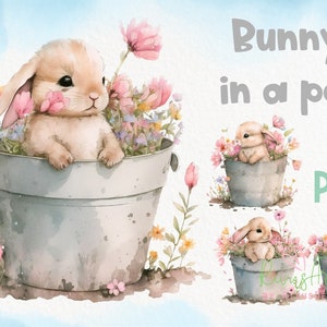 Bunny in the Flower Pot Clipart, Watercolor Bunny, Clip Art for Girls ...