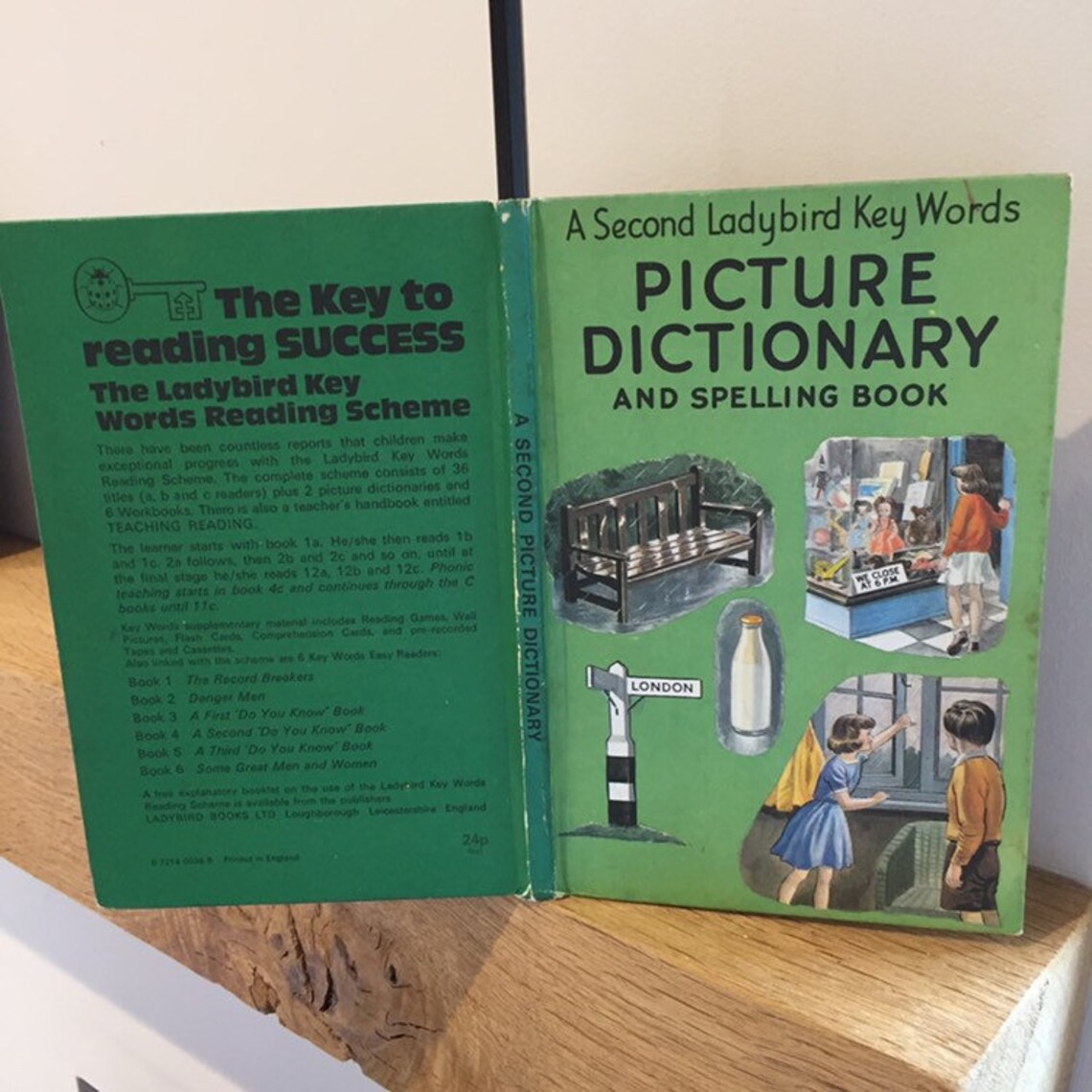 Ladybird 'picture Dictionary' Brought to Life Unique Vintage Book ...