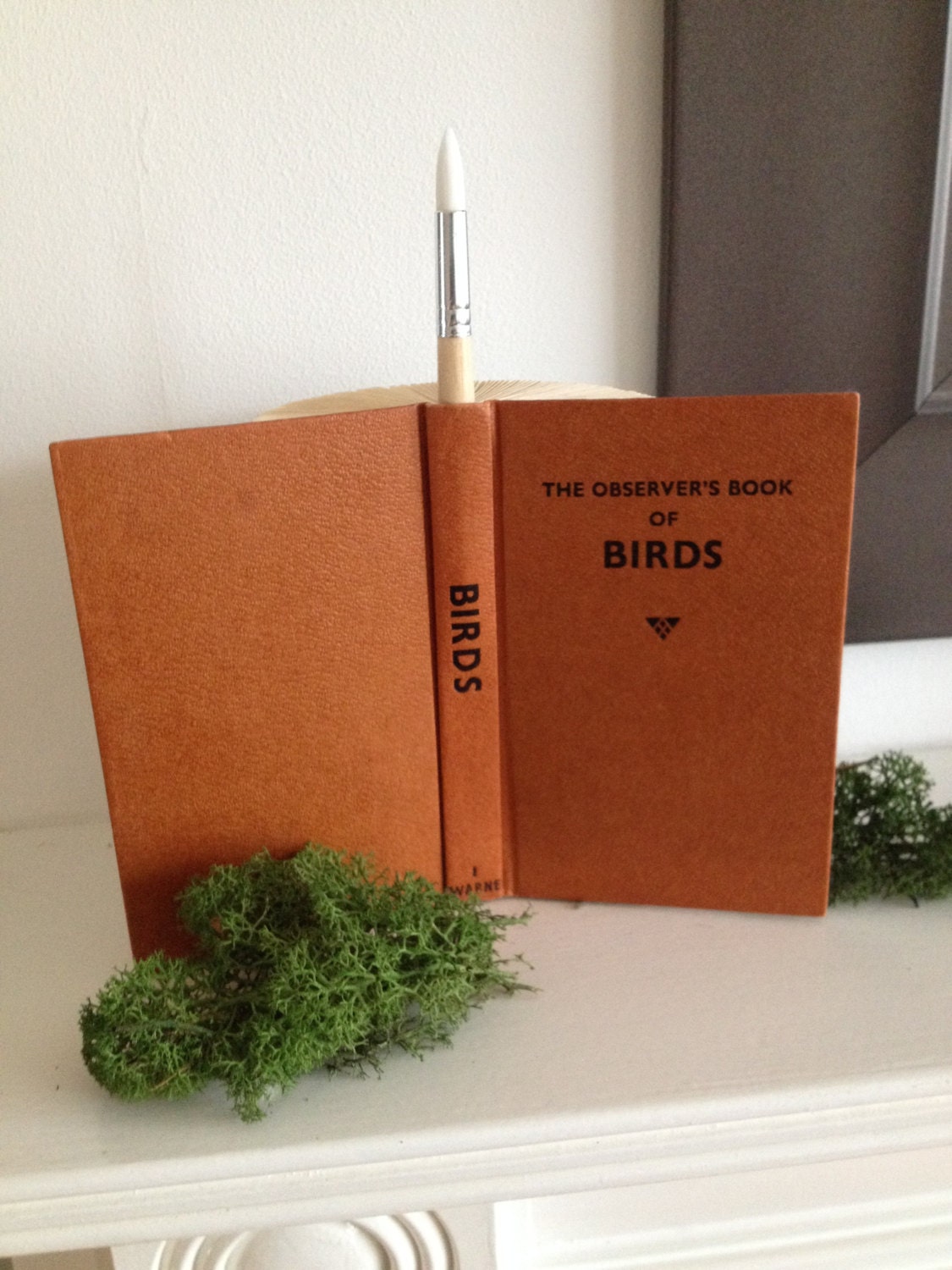 Unique 'observer Book of Birds' Book Sculpture - Etsy UK