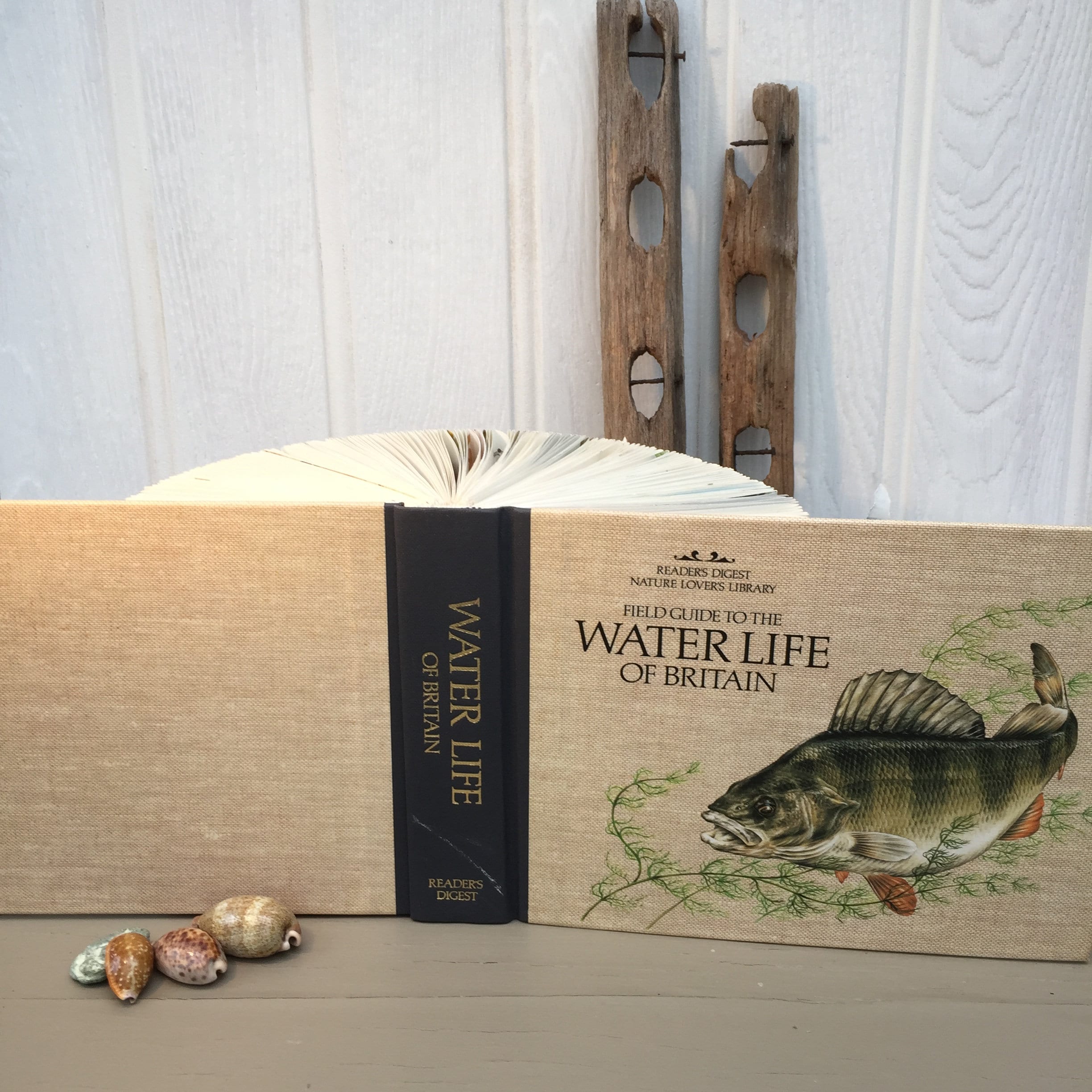 Fish and Water Life Large Unique Book Sculpture - Etsy