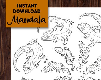 Leopard Gecko Sheet - Etsy