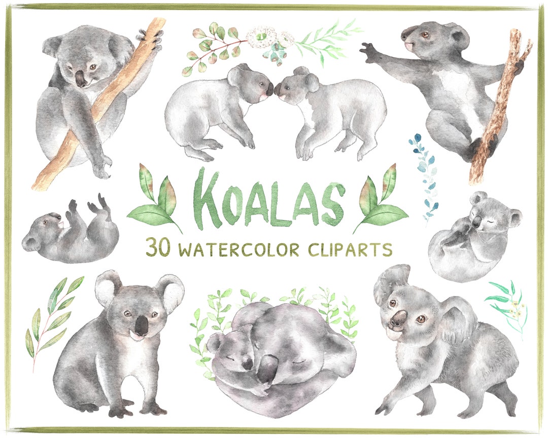 Watercolor Koalas, Koala Clipart, Little Animals Clipart, Australia ...