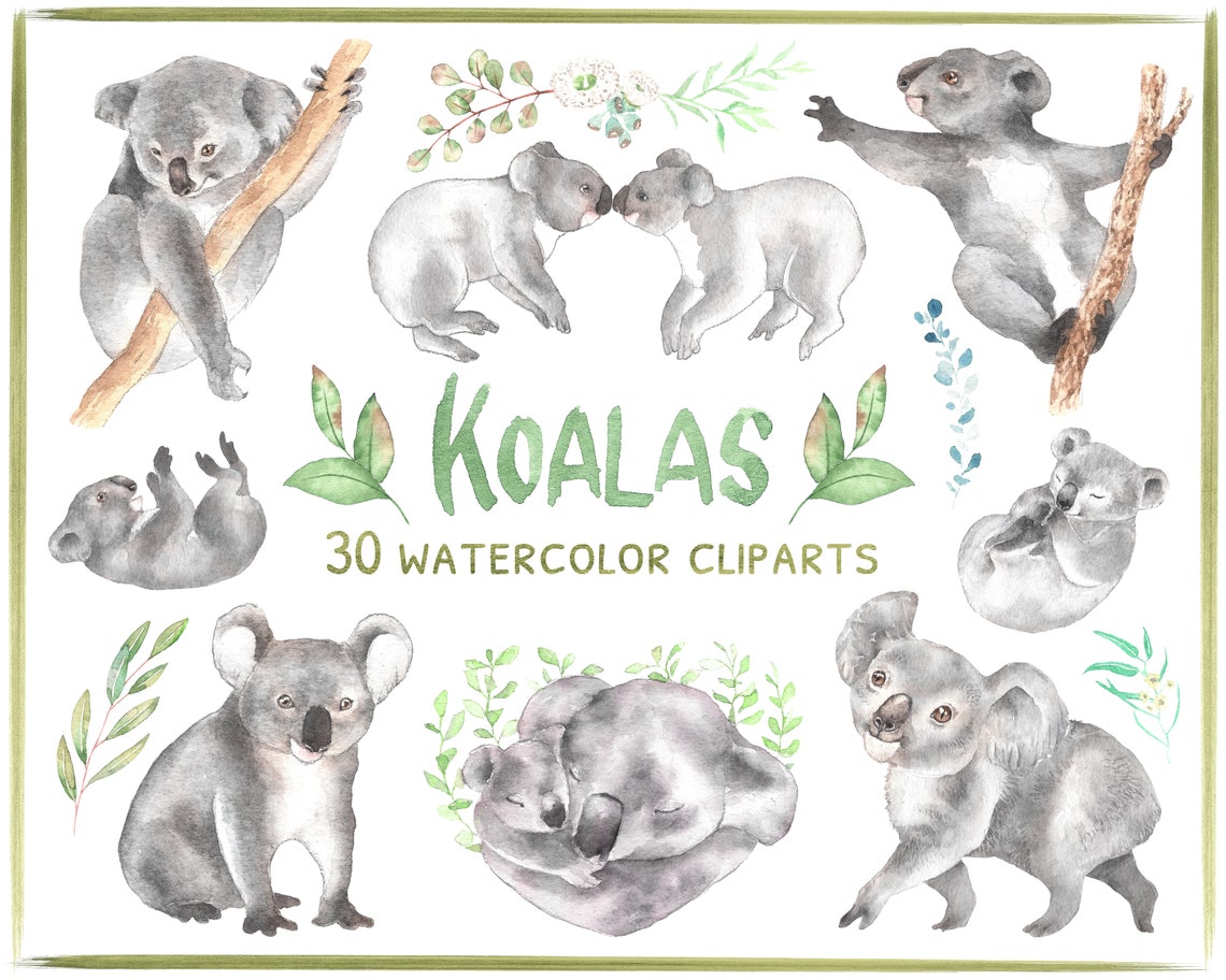 Watercolor Koalas, Koala Clipart, Little Animals Clipart, Australia ...