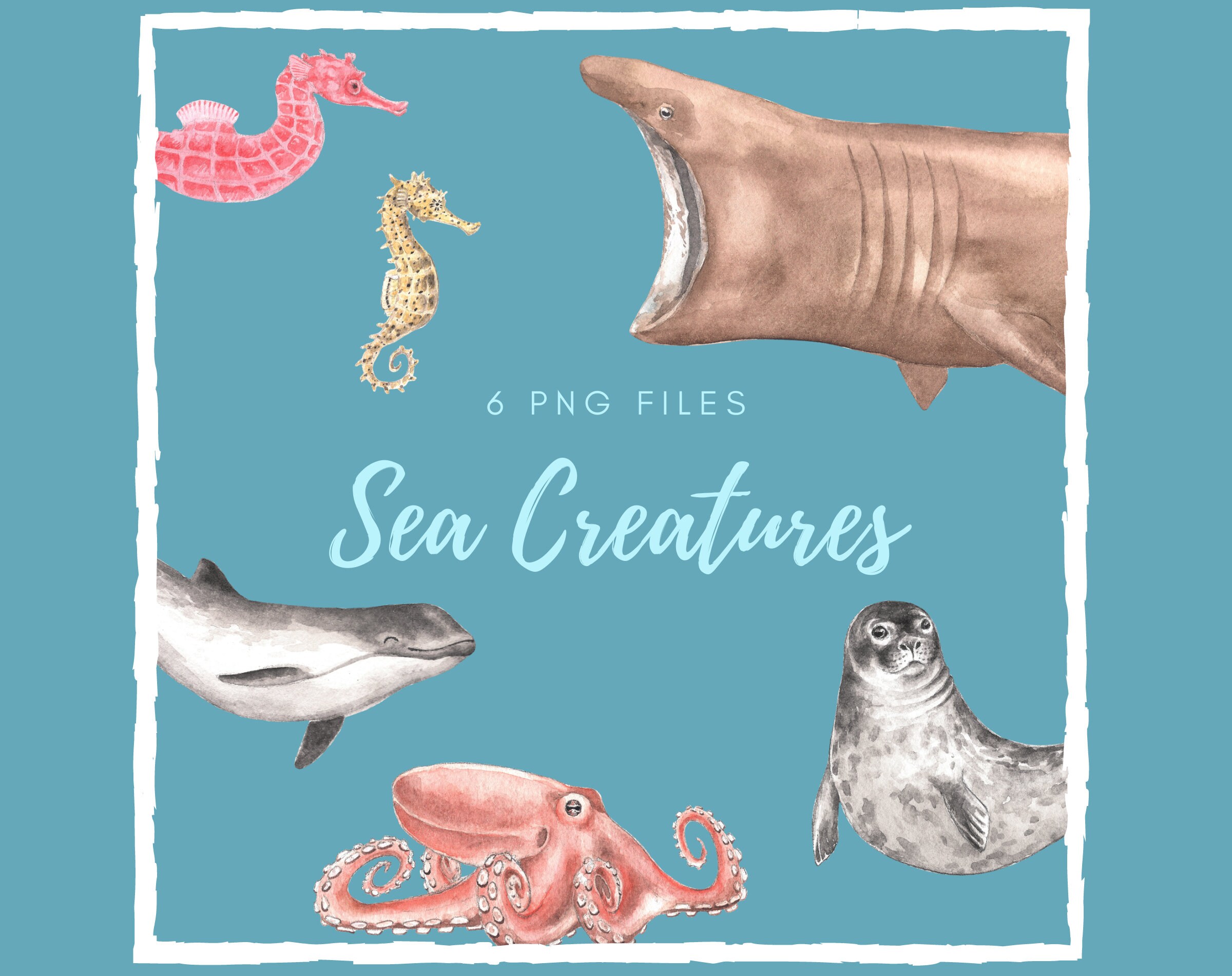 Watercolor Sea Life Clipart, Watercolor Clipart, Hand Painted Clip Art ...