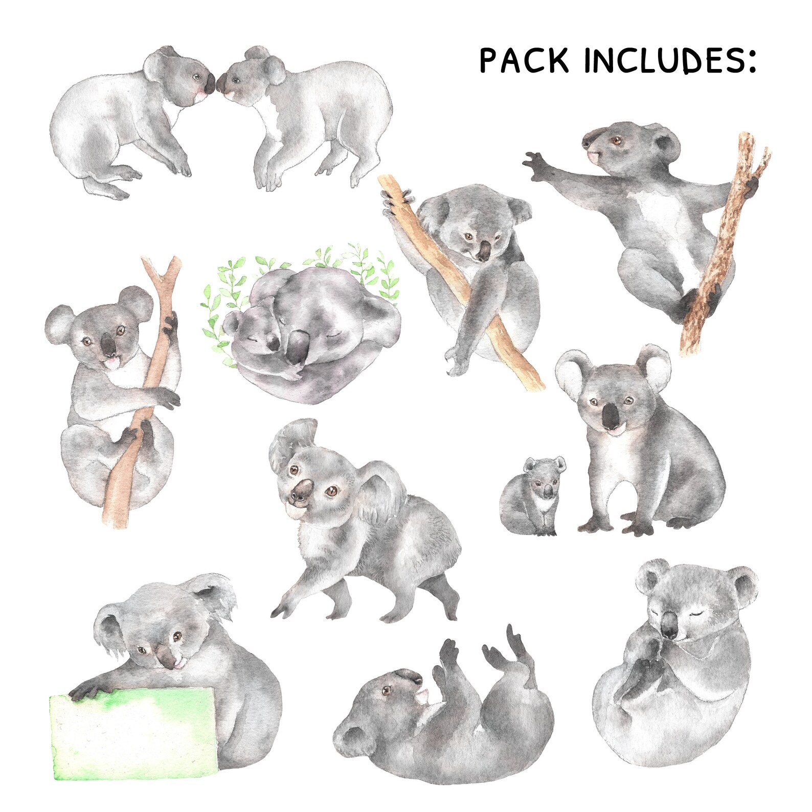 Watercolor Koalas, Koala Clipart, Little Animals Clipart, Australia ...