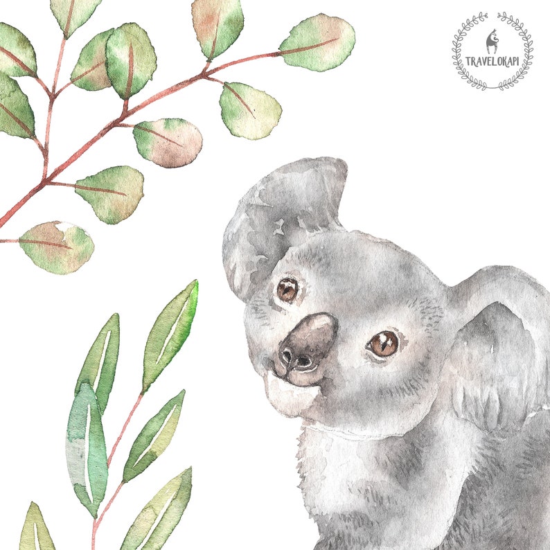 Watercolor Koalas, Koala Clipart, Little Animals Clipart, Australia ...
