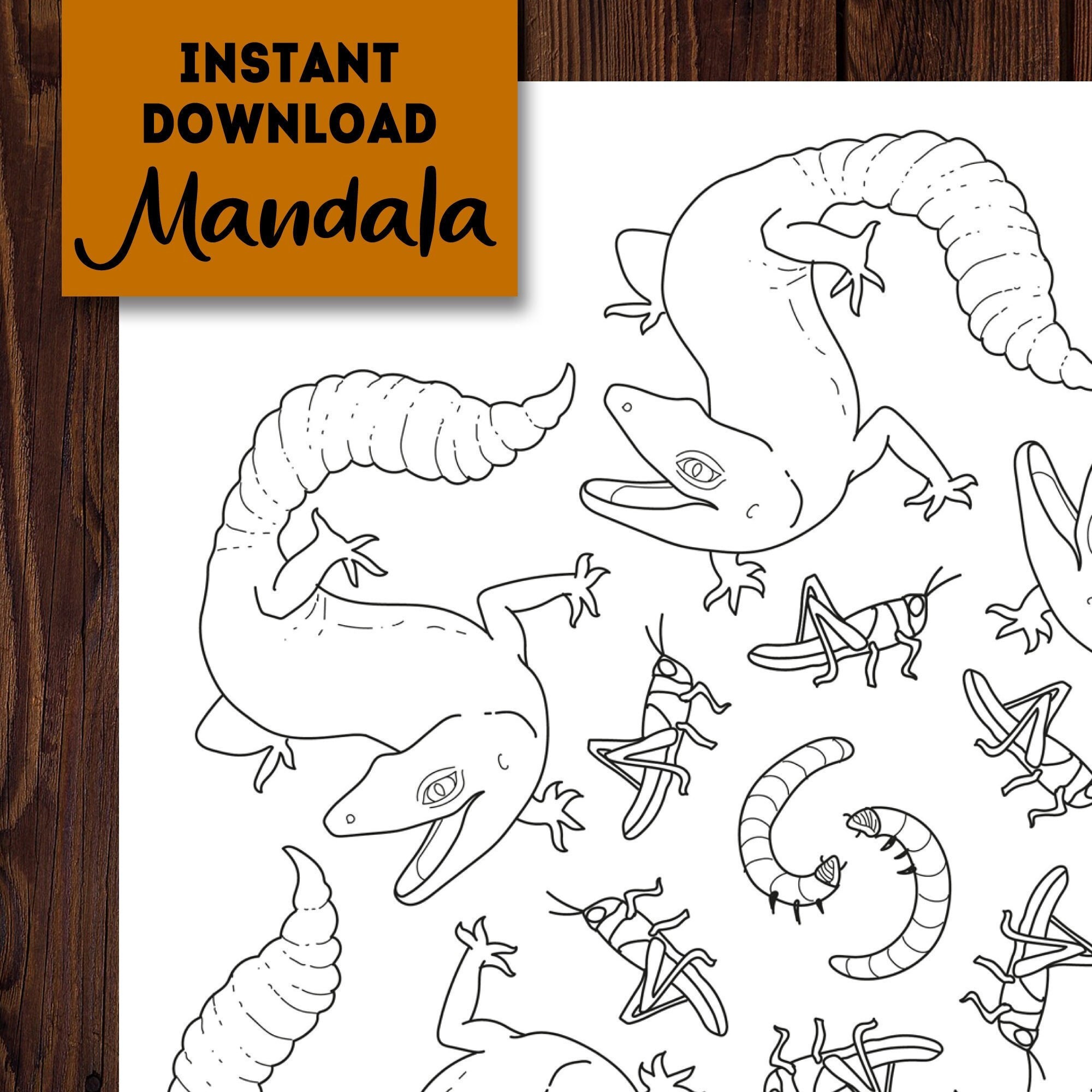 Leopard Gecko Coloring Pages