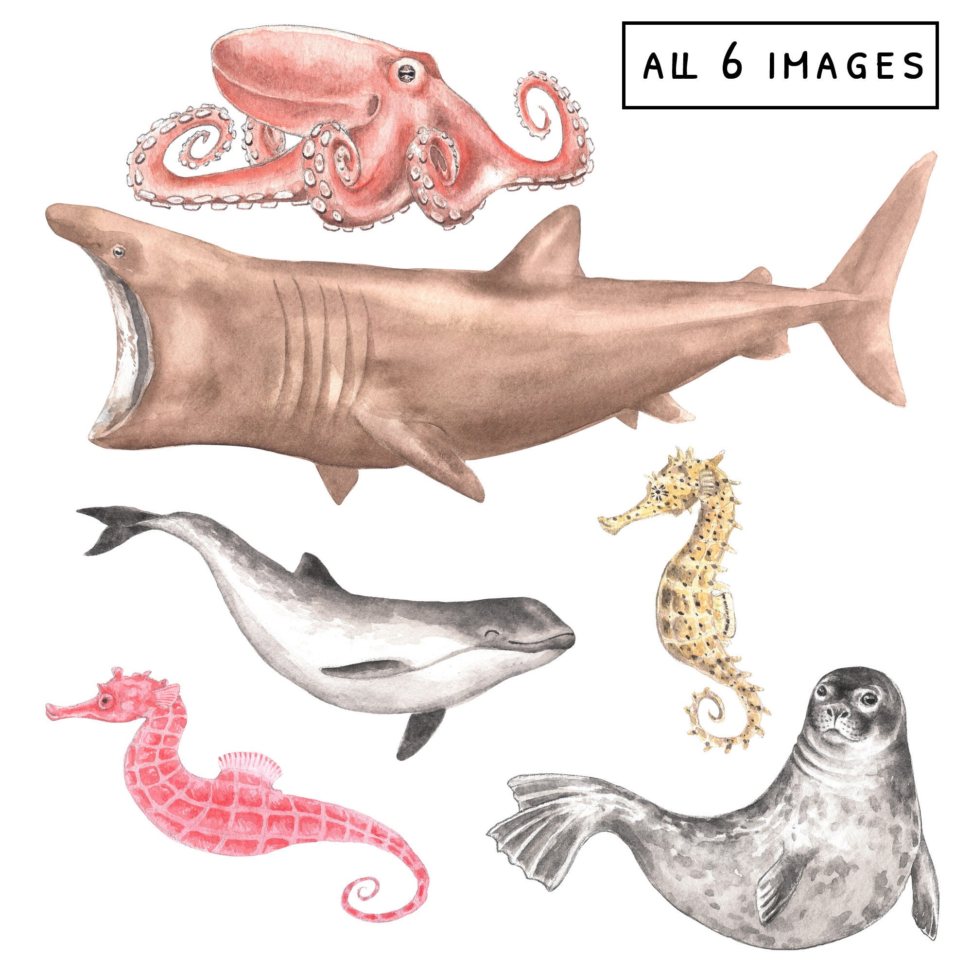 Watercolor Sea Life Clipart, Watercolor Clipart, Hand Painted Clip Art ...