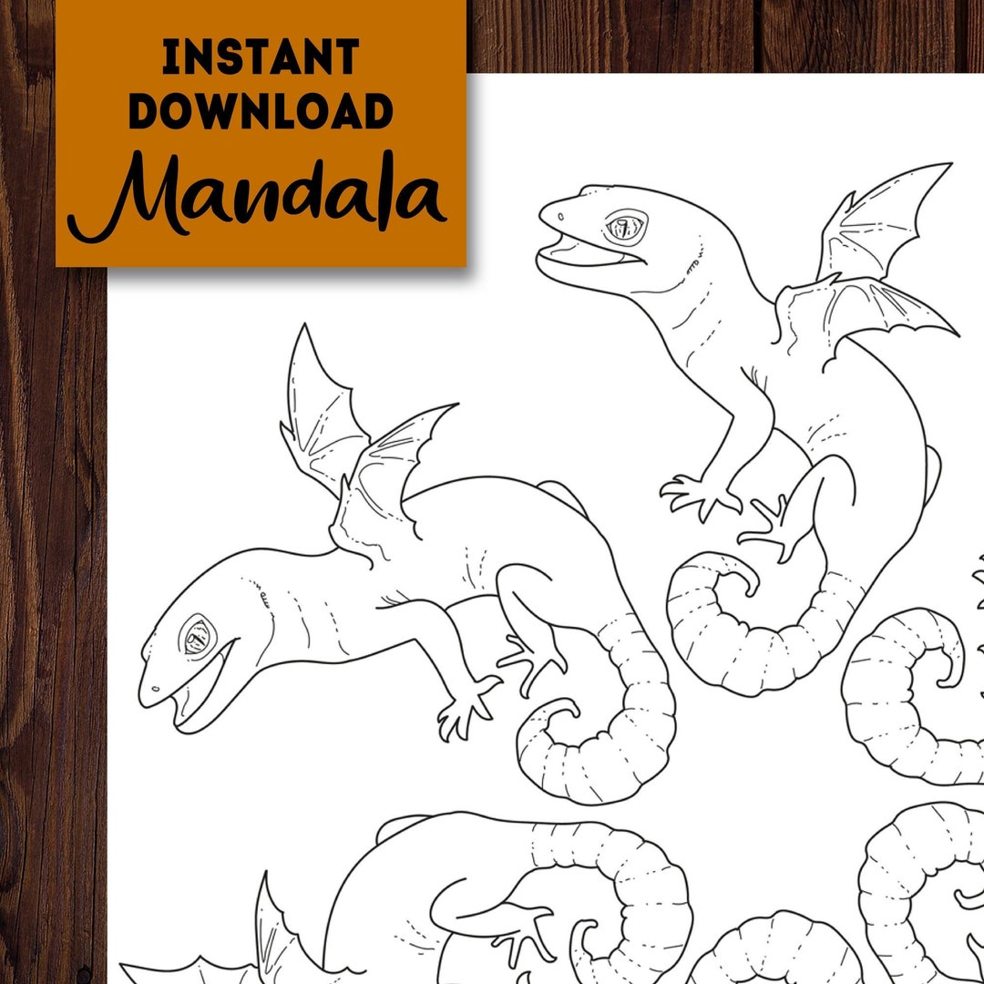 Coloring Page Leopard Gecko, Mandala, Printable Coloring Sheet, Digital ...