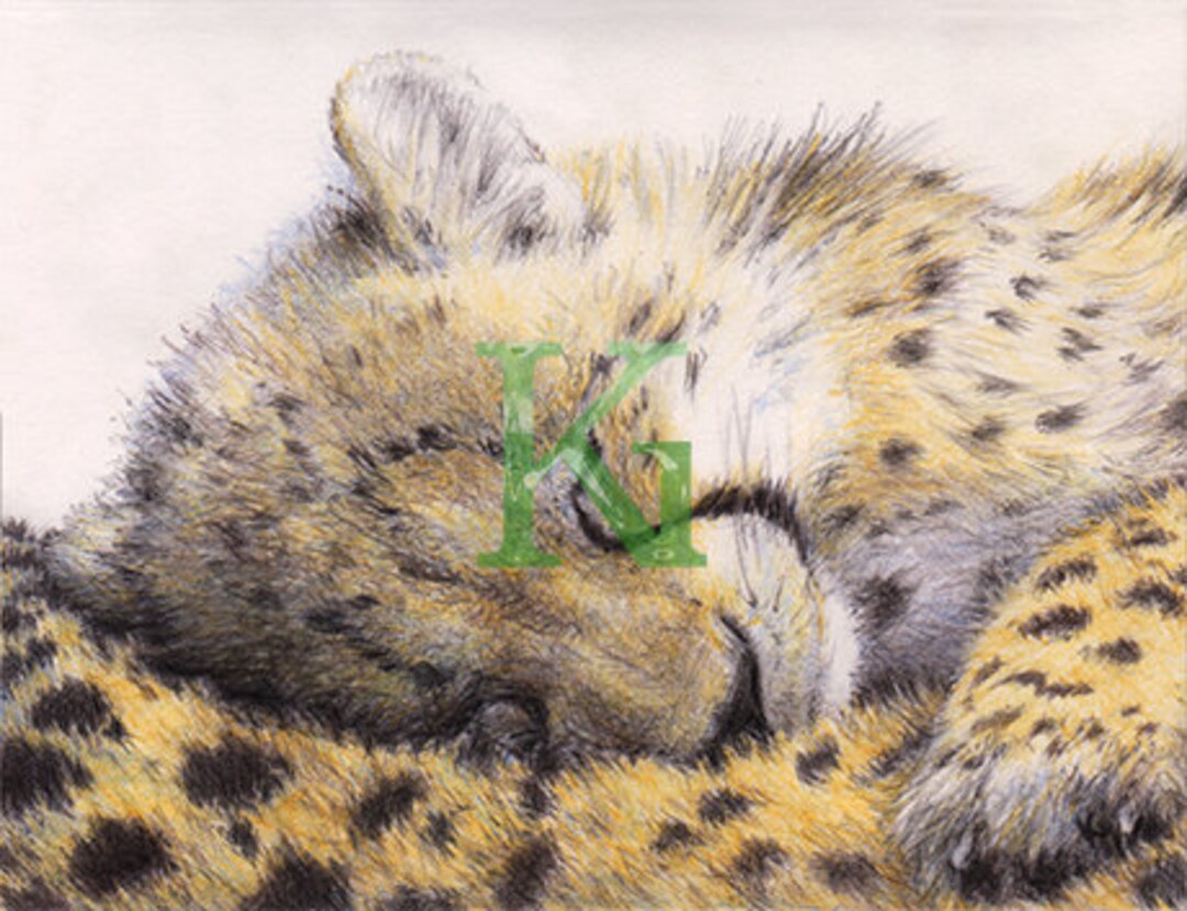 KG Cards "cheetah Cub" Greeting Card - Etsy