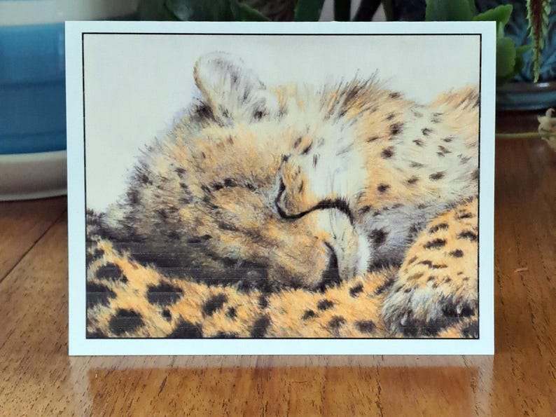 KG Cards "cheetah Cub" Greeting Card - Etsy