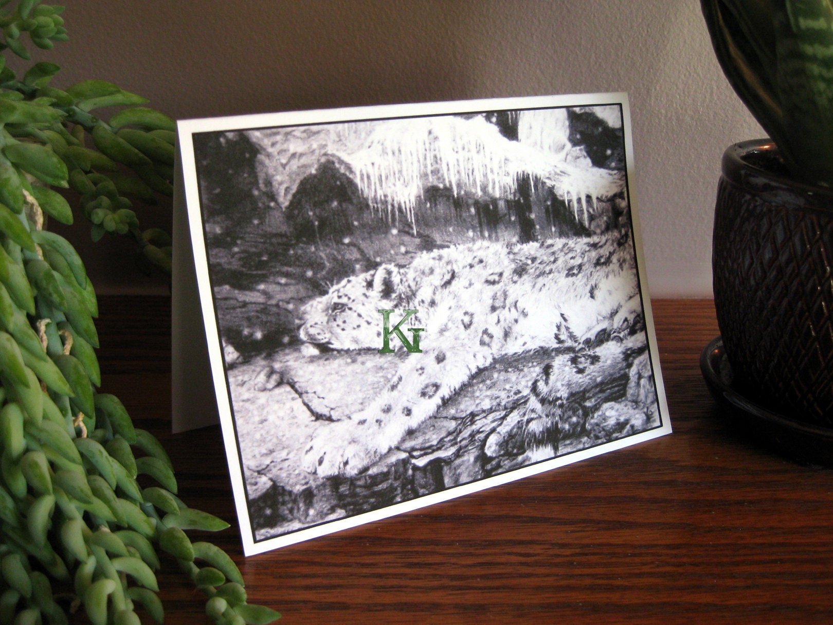 KG Cards "snow Leopard Napping" Greeting Card - Etsy