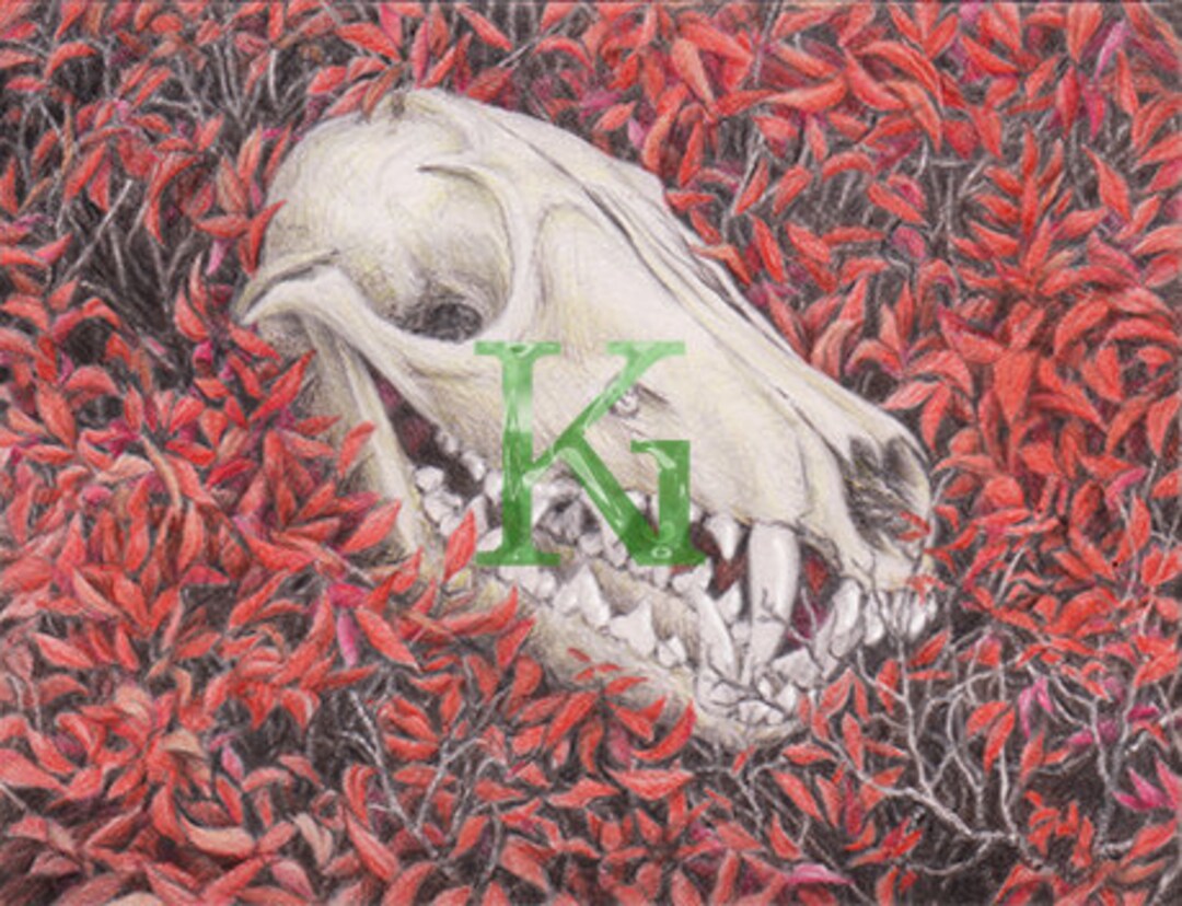 KG Cards "skull in Bushes" Greeting Card - Etsy