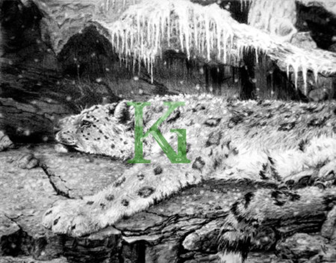 KG Cards "snow Leopard Napping" Greeting Card - Etsy