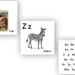 Animal Alphabet Cards | Animal Abc's | Watercolor Alphabet Cards ...