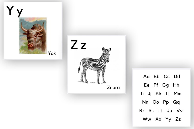 Animal Alphabet Cards | Animal Abc's | Watercolor Alphabet Cards ...