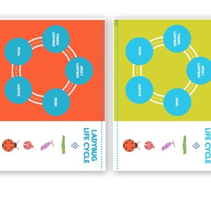 Bugs Unit Study | Insect Unit | Printable Homeschool Lesson Plans ...