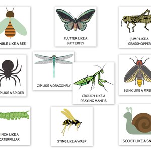 Bugs Unit Study | Insect Unit | Printable Homeschool Lesson Plans ...