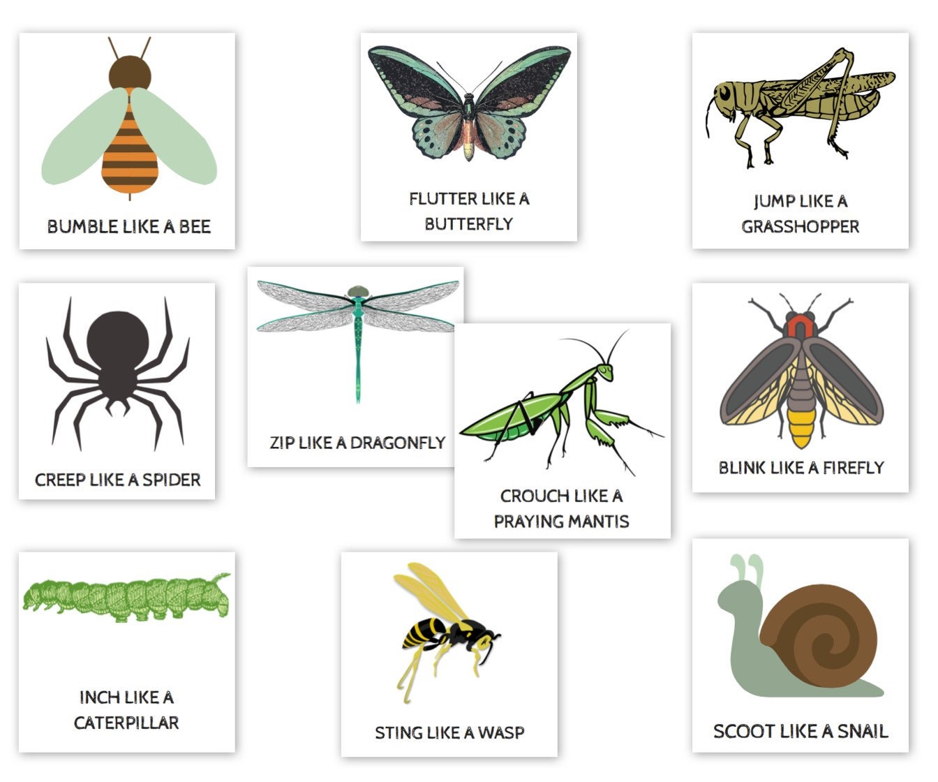 Bugs Unit Study Insect Unit Printable Homeschool Lesson Plans ...
