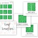 Essential Leaf Classification and Morphology Guide Shape - Etsy