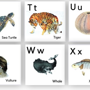 Animal Alphabet Cards | Animal Abc's | Watercolor Alphabet Cards ...