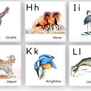 Animal Alphabet Cards | Animal Abc's | Watercolor Alphabet Cards ...