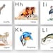 Animal Alphabet Cards Animal Abc's Watercolor Alphabet - Etsy