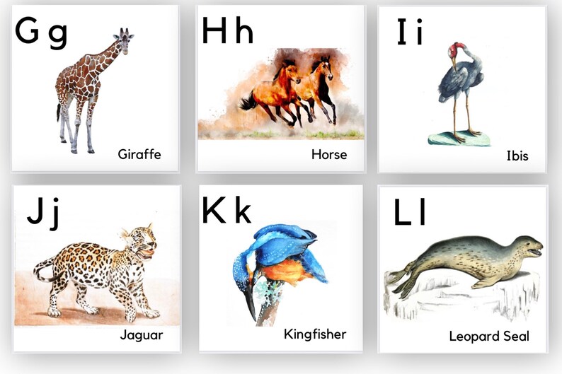 Animal Alphabet Cards | Animal Abc's | Watercolor Alphabet Cards ...