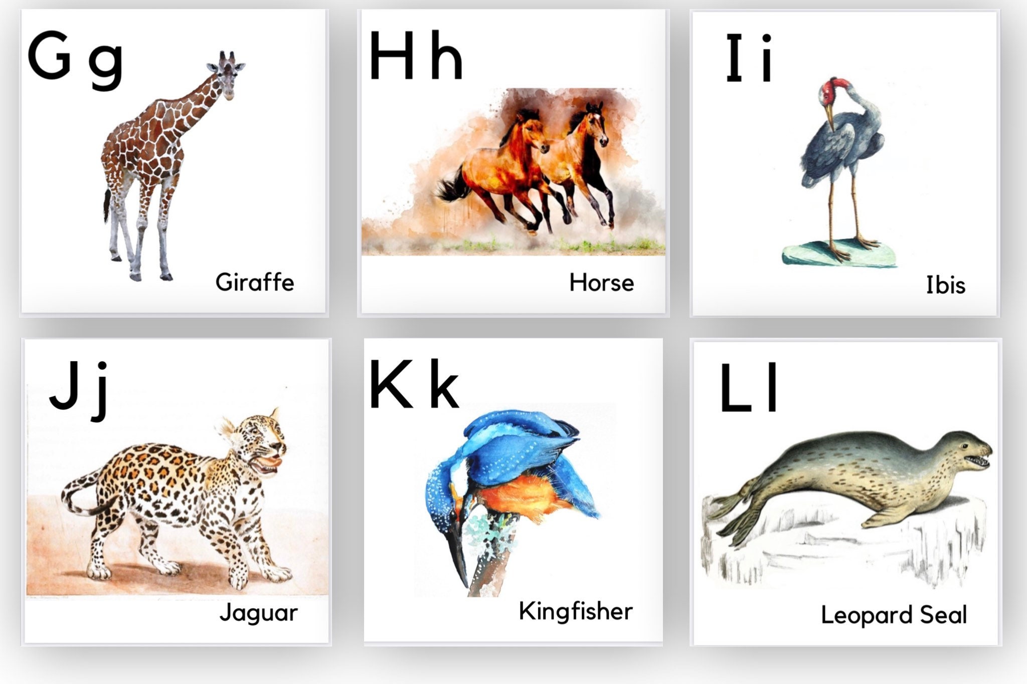 Animal Alphabet Cards | Animal Abc's | Watercolor Alphabet Cards ...