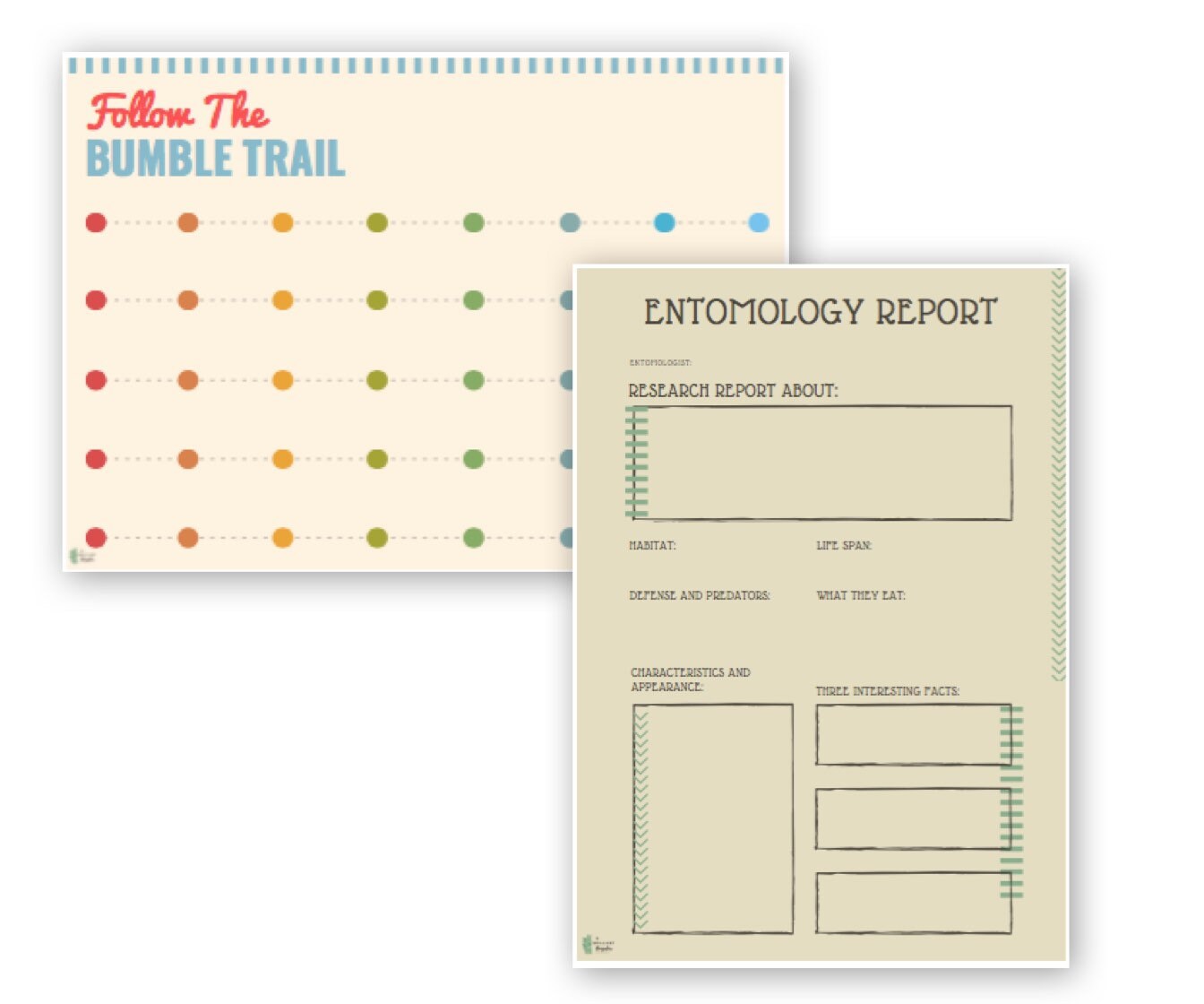 Bugs Unit Study | Insect Unit | Printable Homeschool Lesson Plans ...