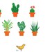 Cactus Unit Study Cactus Themed Activities Printable - Etsy