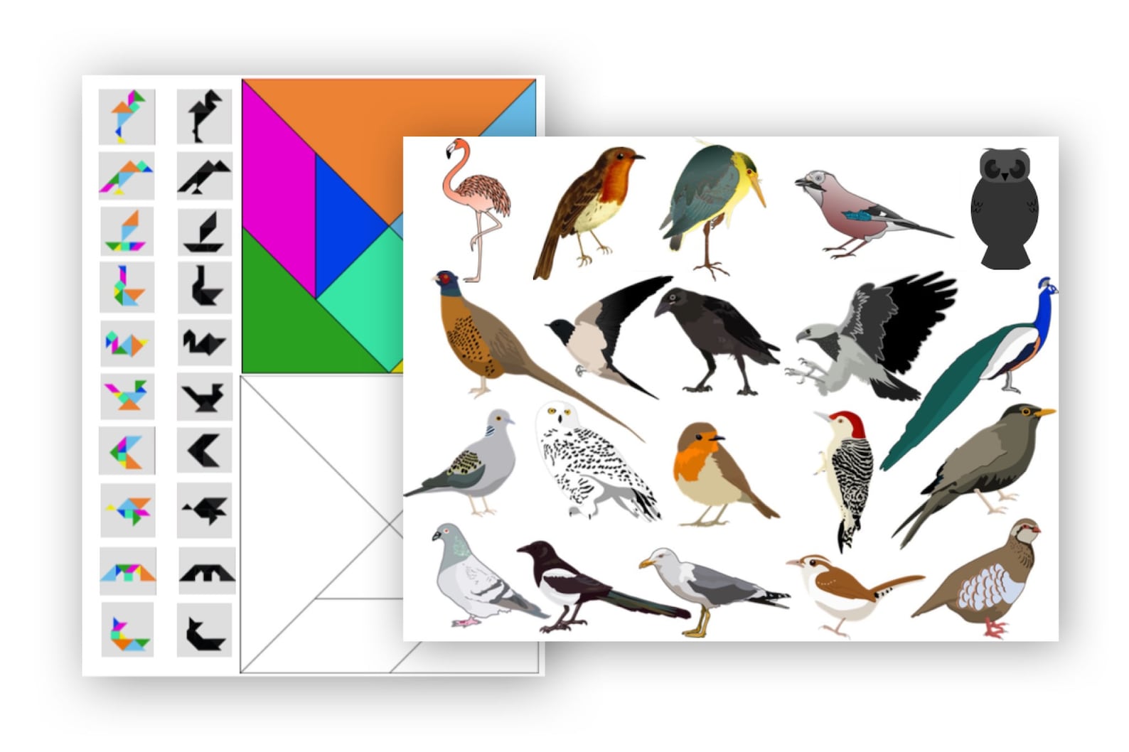 Birds Unit Study | Bird Unit | Printable Homeschool Lesson Plans ...