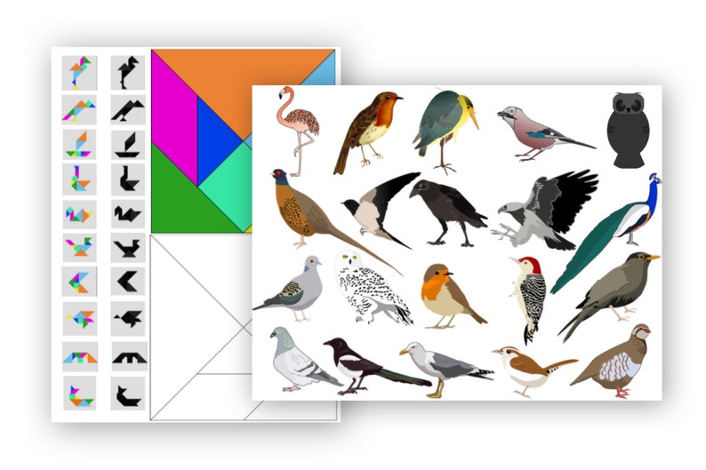 Birds Unit Study | Bird Unit | Printable Homeschool Lesson Plans ...
