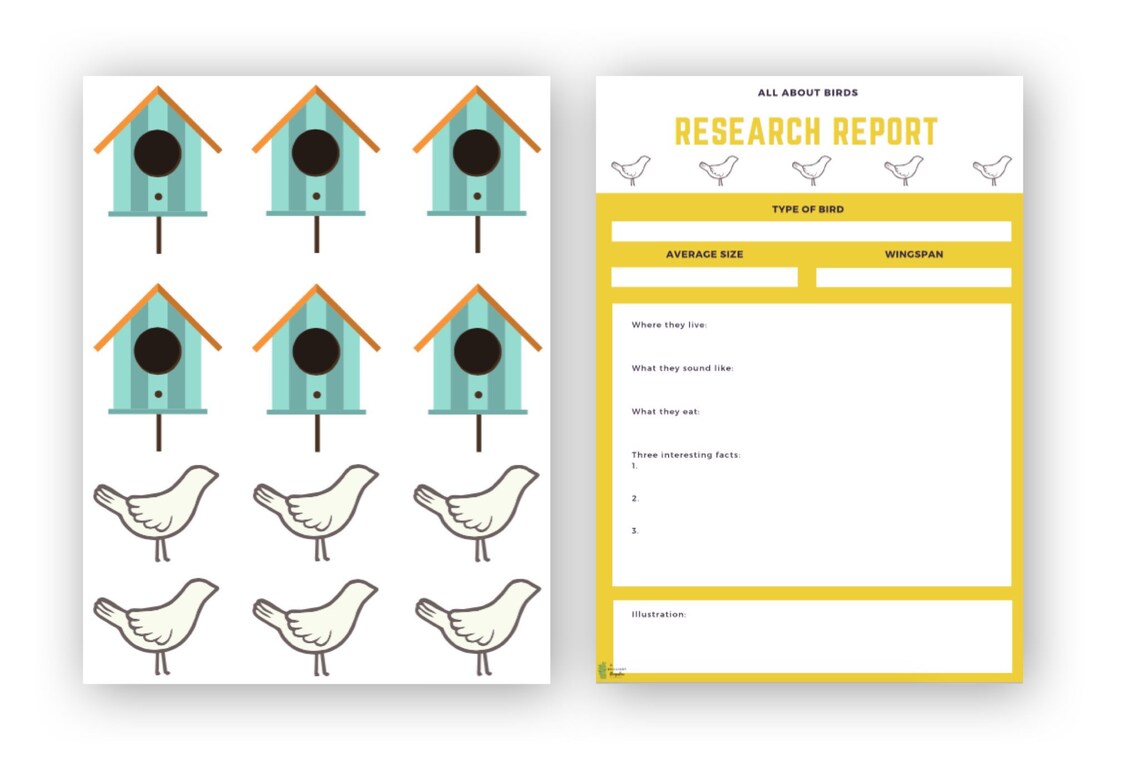 Birds Unit Study Bird Unit Printable Homeschool Lesson | Etsy