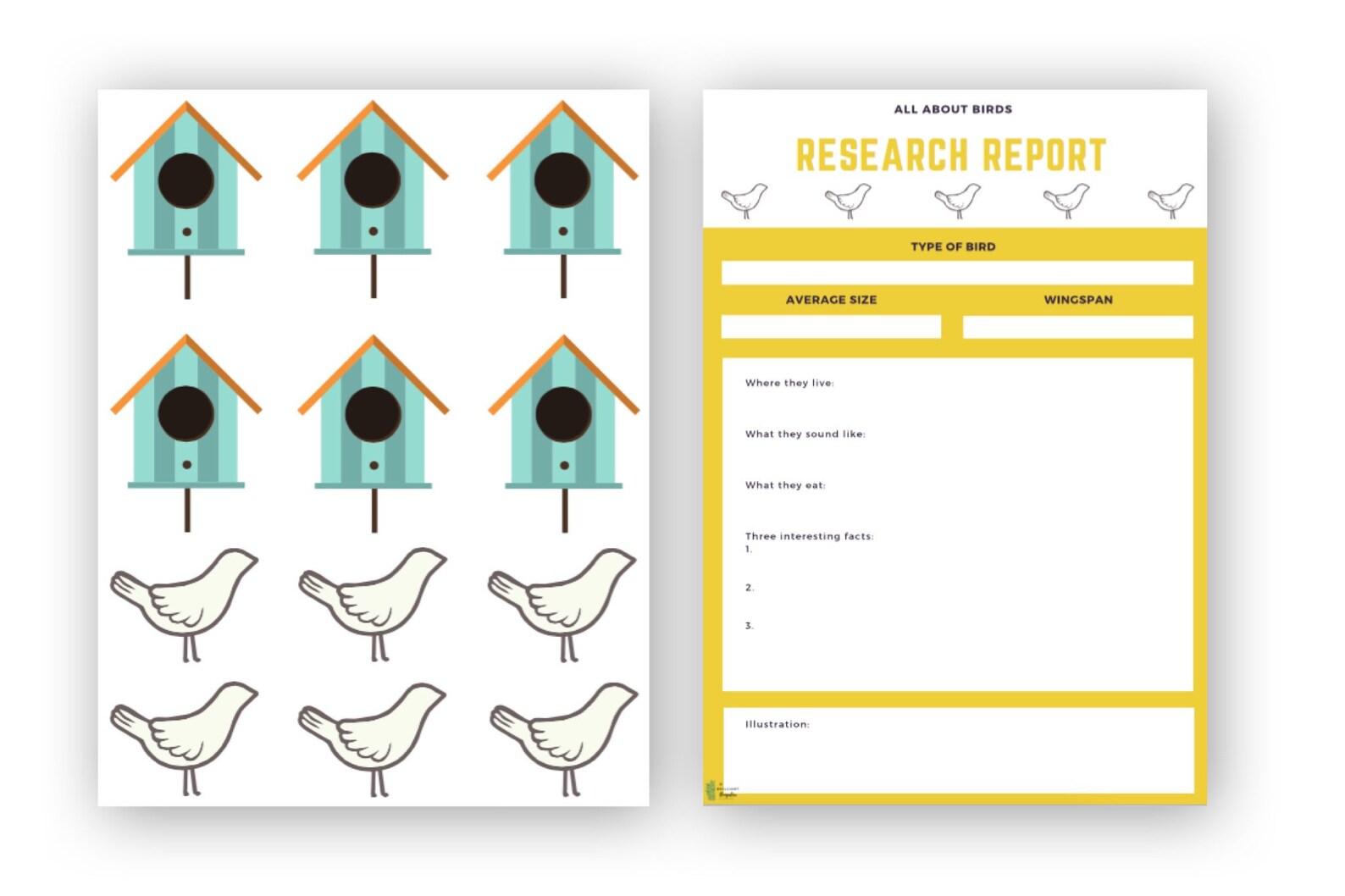 Birds Unit Study | Bird Unit | Printable Homeschool Lesson Plans ...