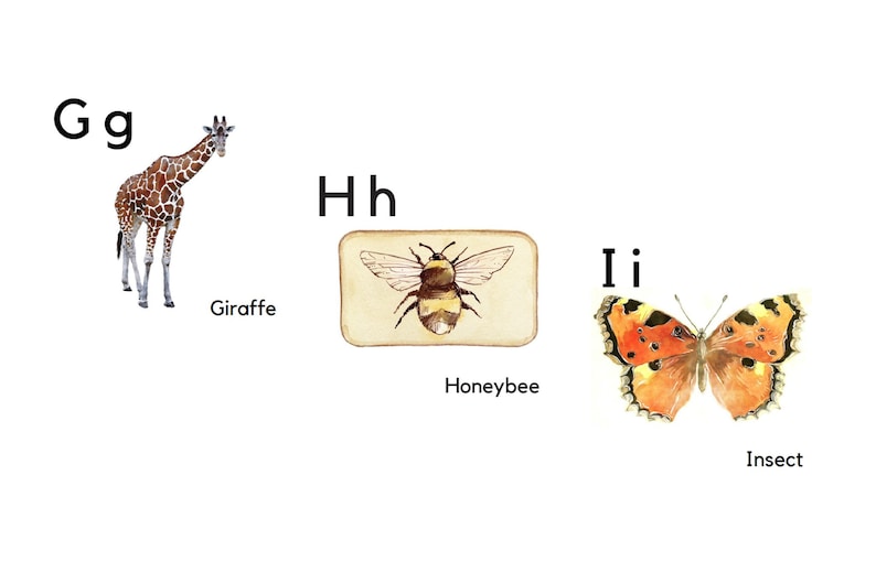 Nature Themed Alphabet Cards | Charlotte Mason Alphabet Cards ...