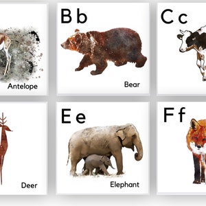Animal Alphabet Cards | Animal Abc's | Watercolor Alphabet Cards ...