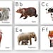 Animal Alphabet Cards Animal Abc's Watercolor Alphabet - Etsy