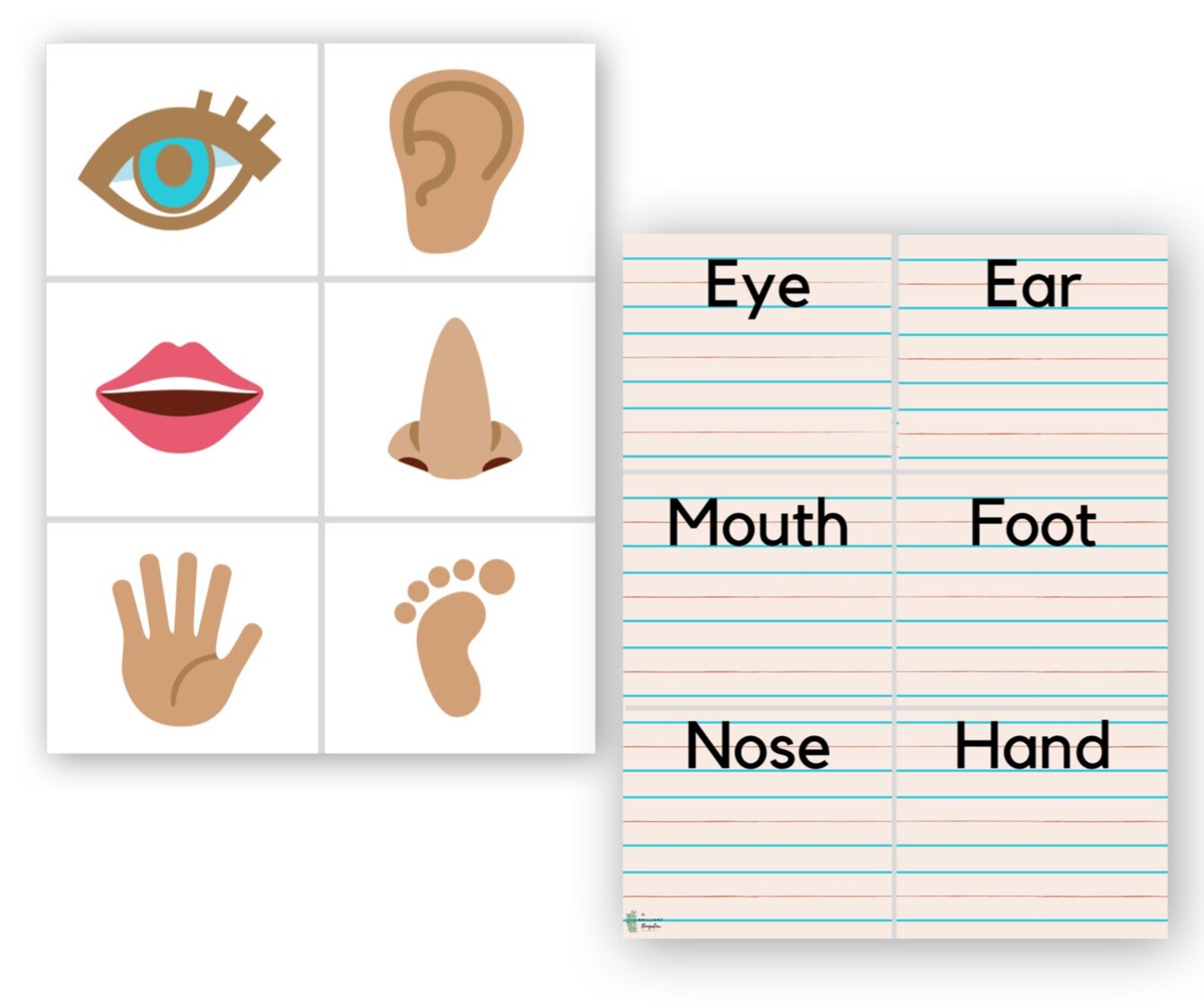 All About Me Theme Kindergarten Unit Study Preschool, Kindergarten ...