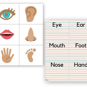 All About Me Theme Kindergarten Unit Study | Preschool, Kindergarten ...