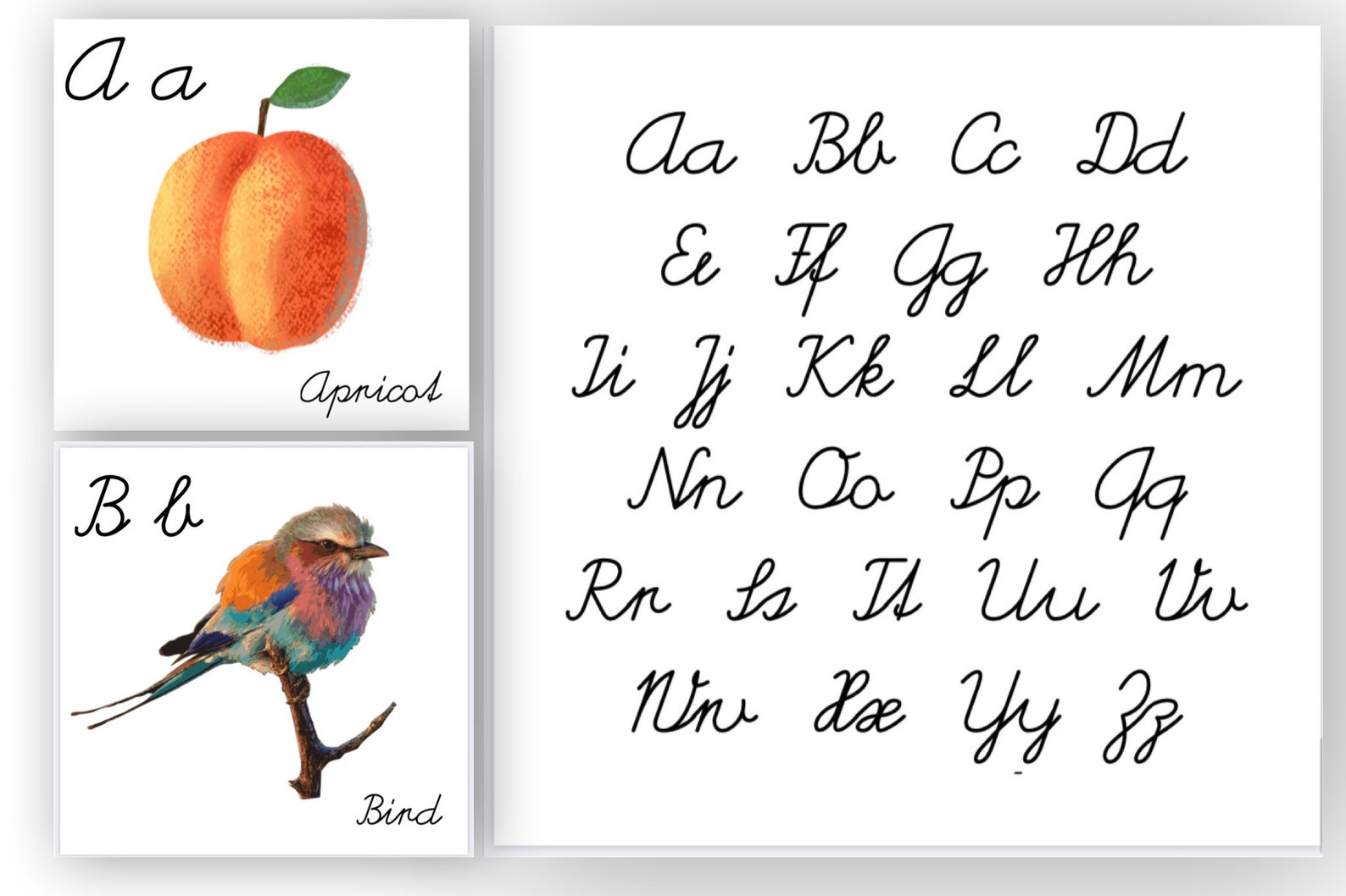 Montessori Cursive Nature Themed Alphabet Cards | Montessori Alphabet ...