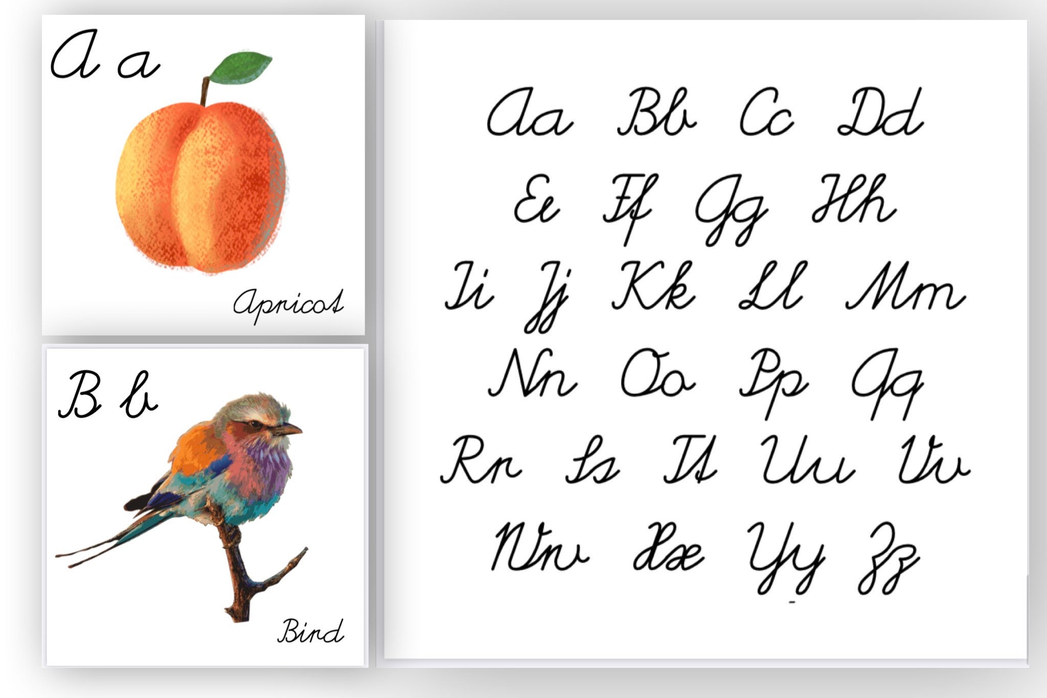 Montessori Cursive Nature Themed Alphabet Cards | Montessori Alphabet ...