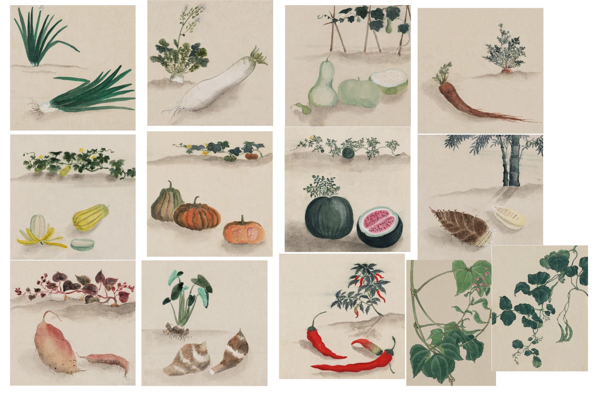 Farm Themed Educational Unit Printable Lesson Plans Homeschool ...