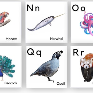 Animal Alphabet Cards | Animal Abc's | Watercolor Alphabet Cards ...