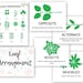 Essential Leaf Classification and Morphology Guide Shape - Etsy