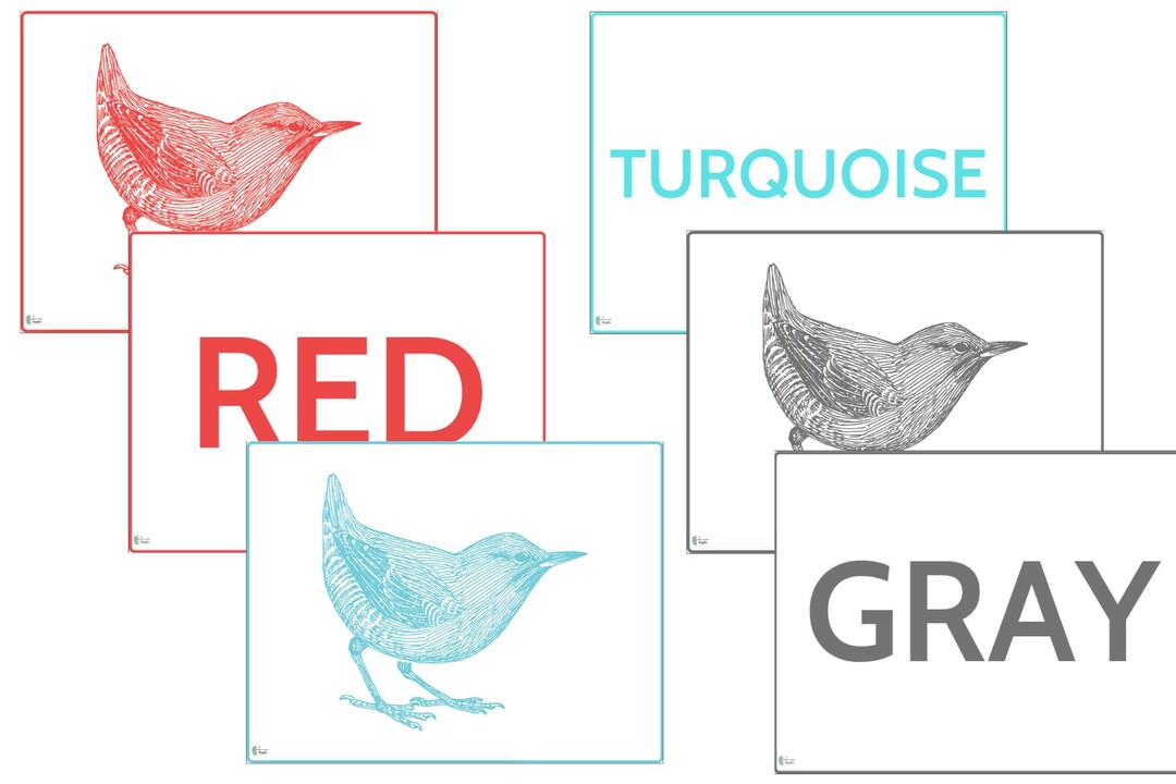 Montessori Style Nature Themed Color Cards With Matching | Printable ...