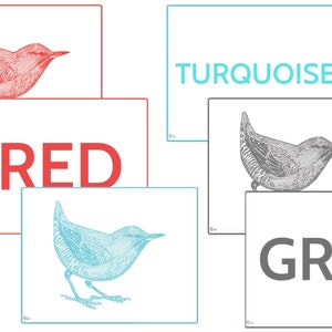 Montessori Style Nature Themed Color Cards With Matching | Printable ...