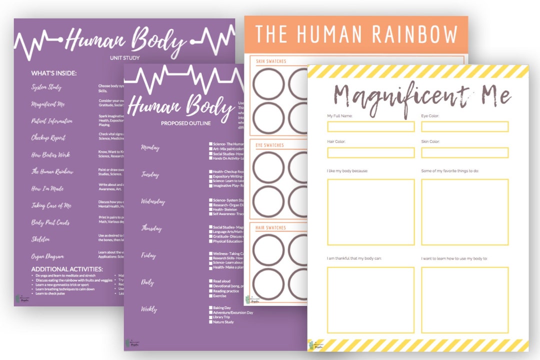 Human Body Unit Study | Human Anatomy Activities | Printable Human Body ...